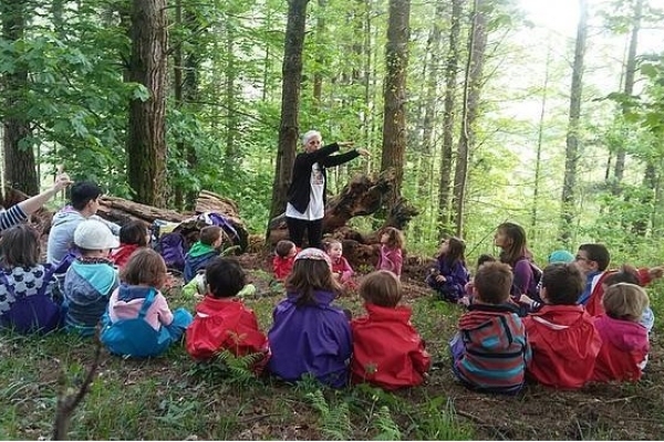 Educar en la naturaleza, ¡es el momento! | UIK