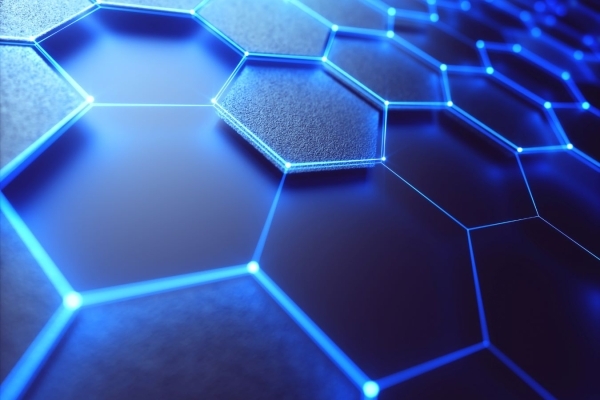 International Workshop On Spin Research In Graphene Nanostructures