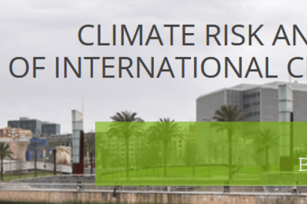 Climate Risk and the future of International Climate Policy | UIK